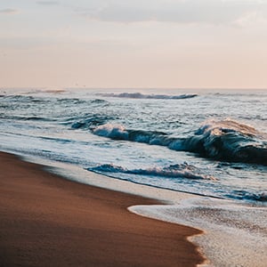 Bindable Partner Spotlight - Zach Shefska of Car Edge